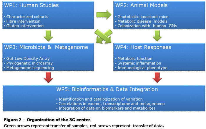 Workpackages - 3GCenter English
